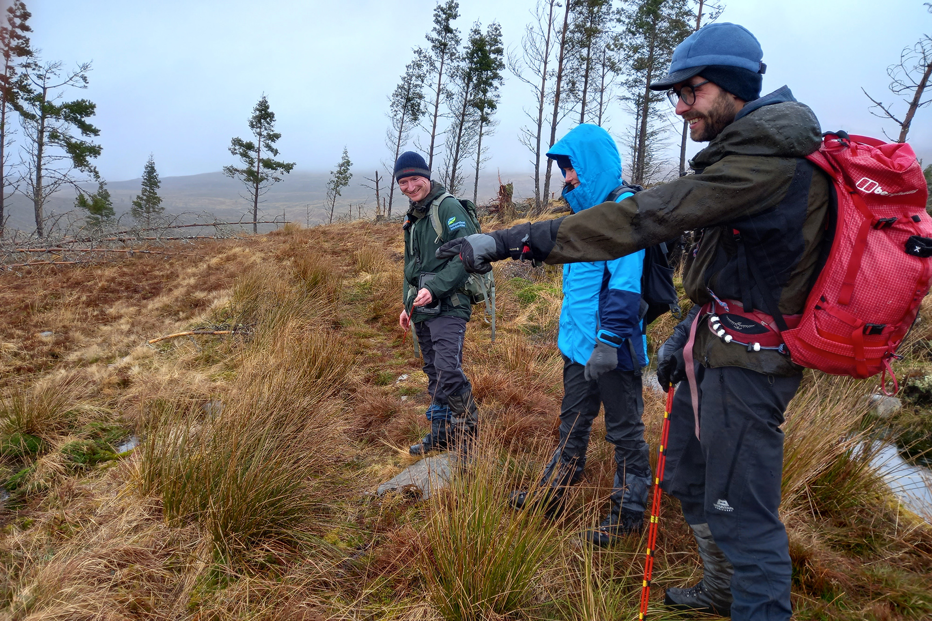 Introducing Gwen Raes: Dundreggan's new estate manager nurtures ...