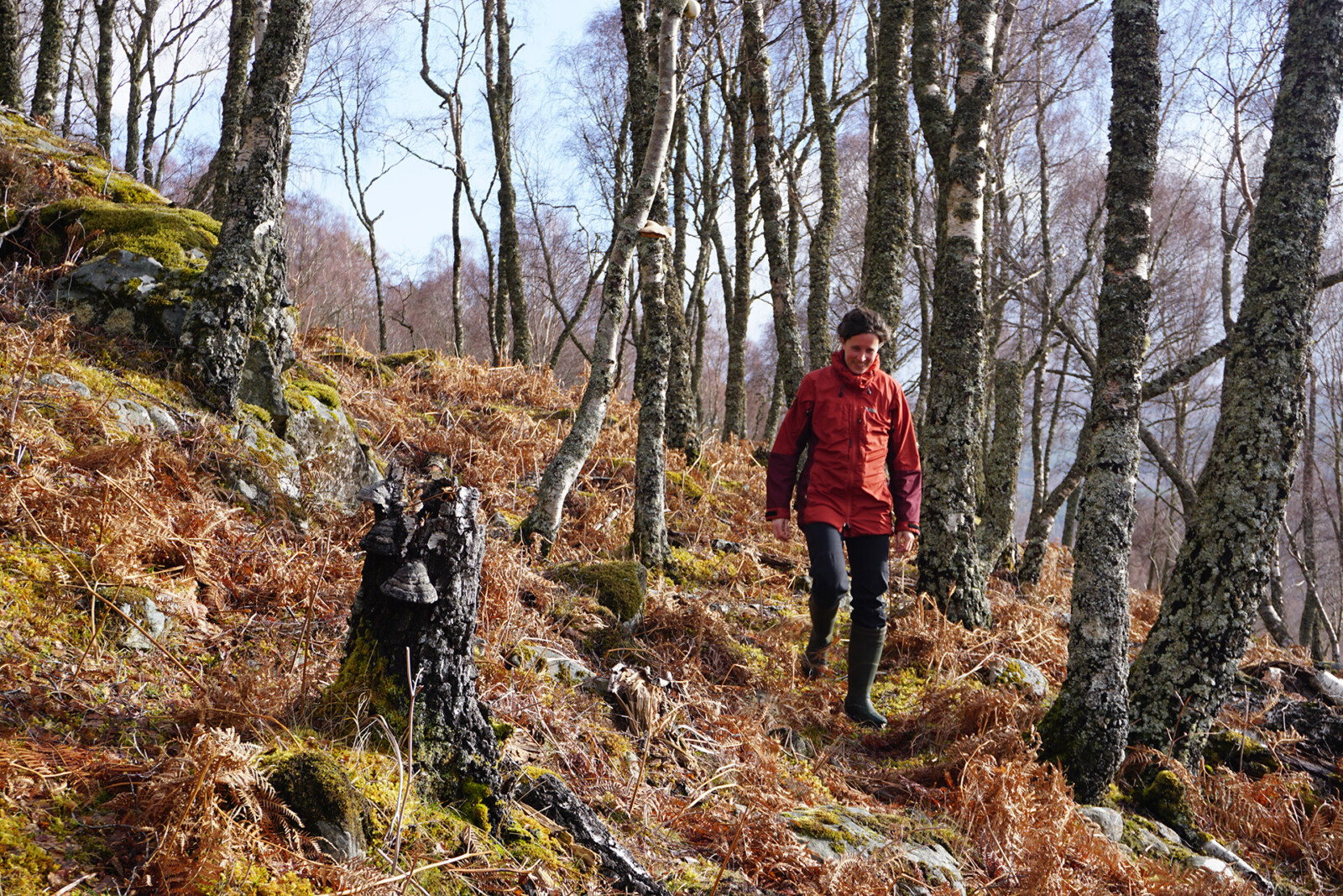 Introducing Gwen Raes: Dundreggan's new estate manager nurtures ...