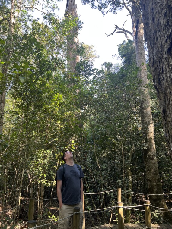 Andy and Gaynor’s Memory Grove - Trees for Life