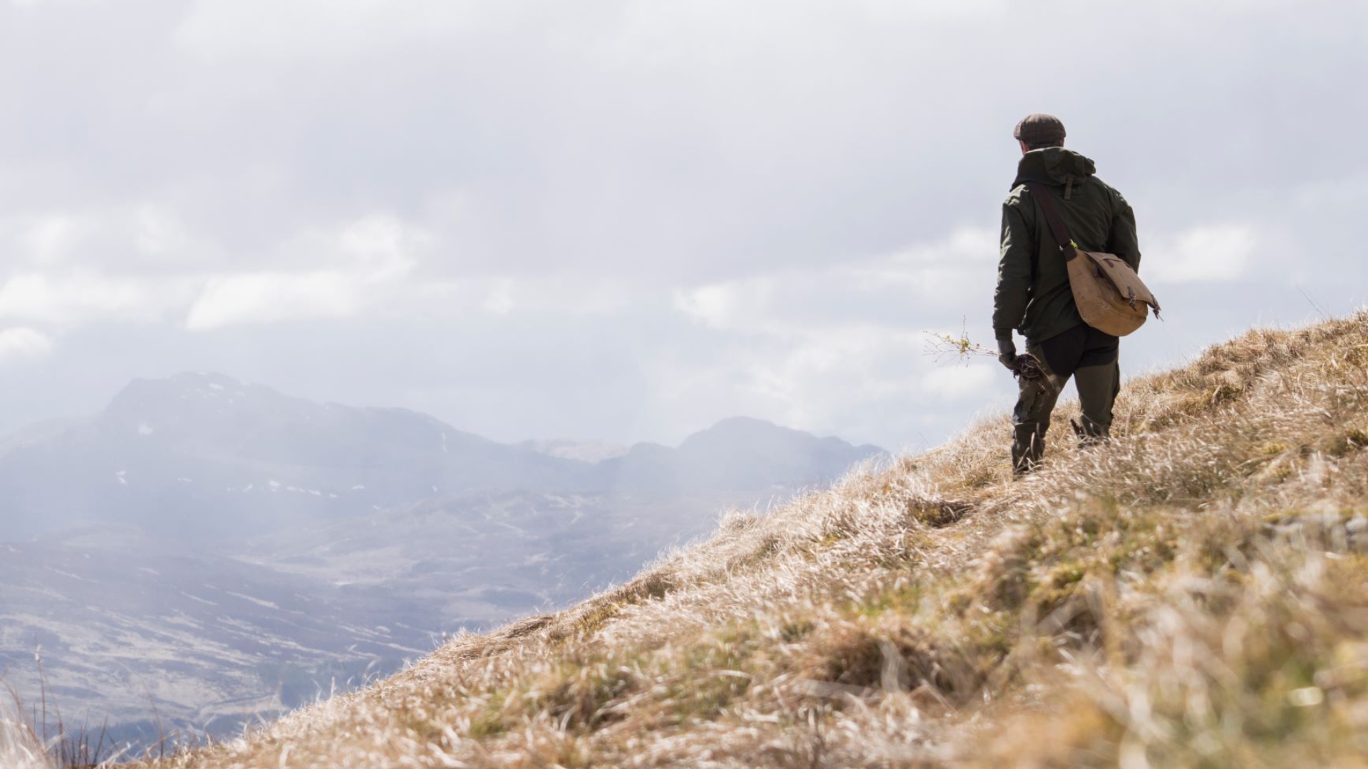 Rewilding Ben Damph - Trees for Life