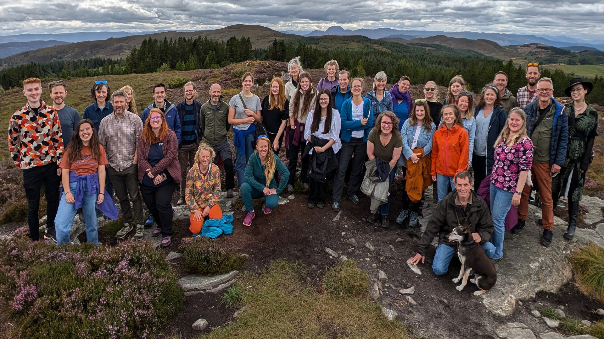 Who works for Trees for Life?