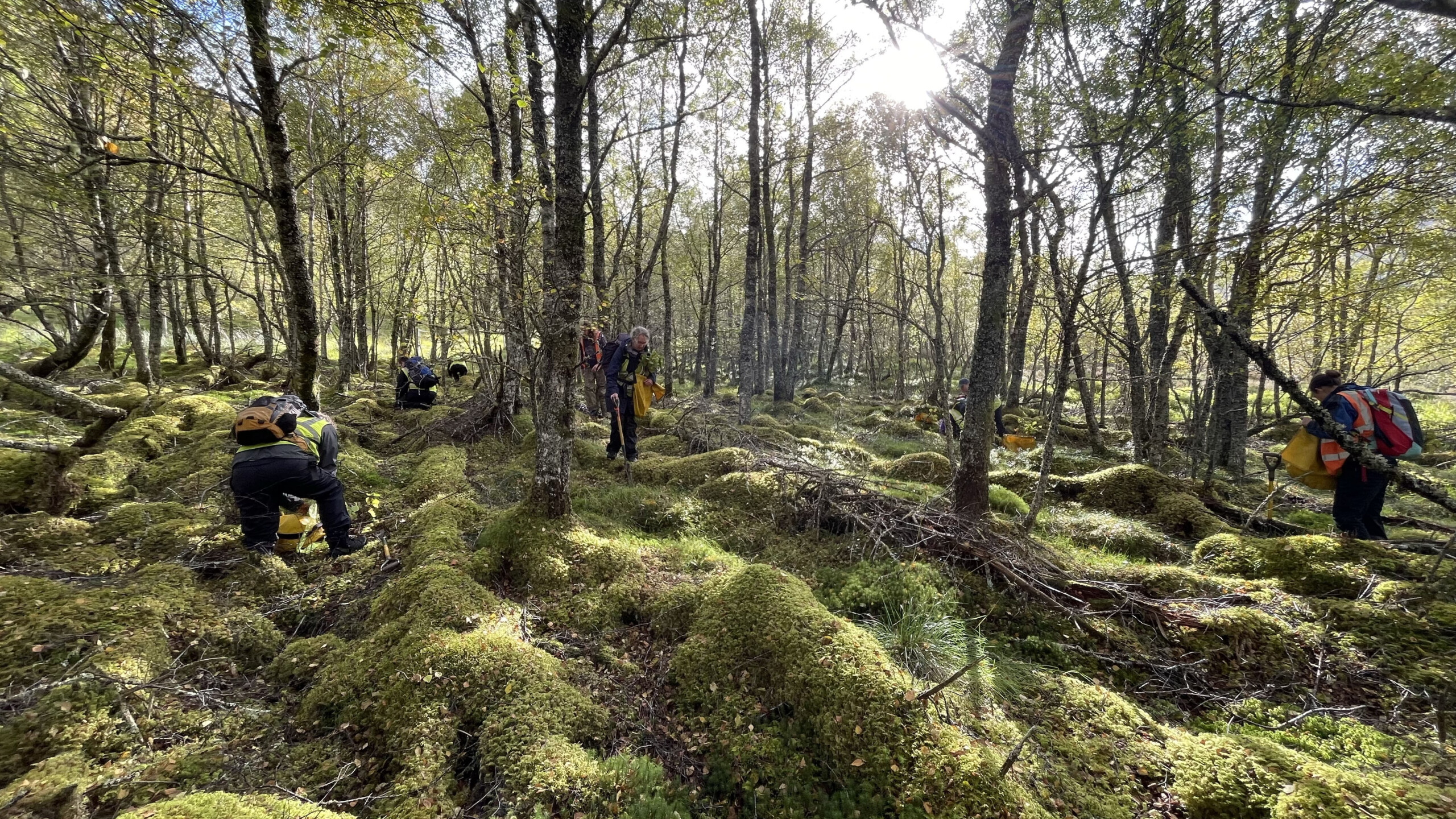 Parcels of hope: community, connection and creativity - Trees for Life