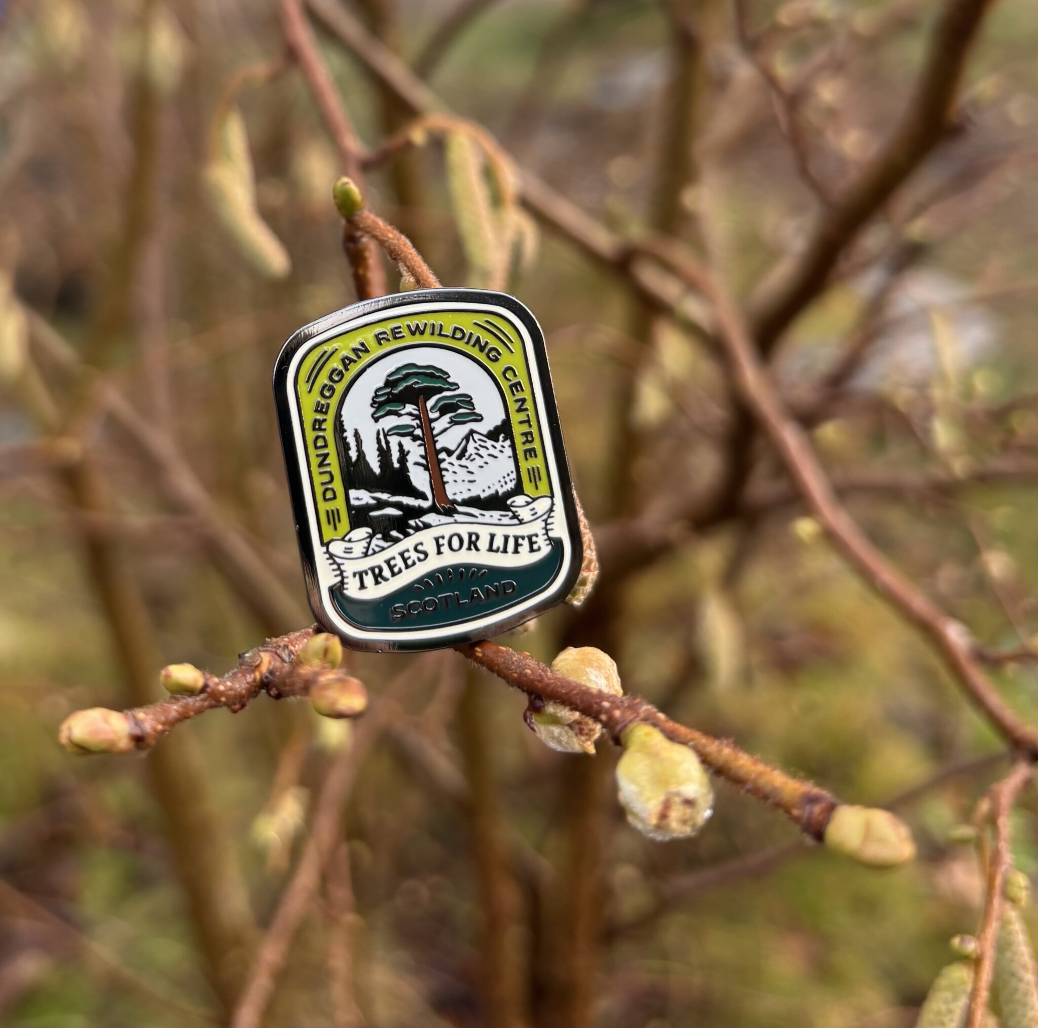 Trees for Life Pin Badge - Trees for Life