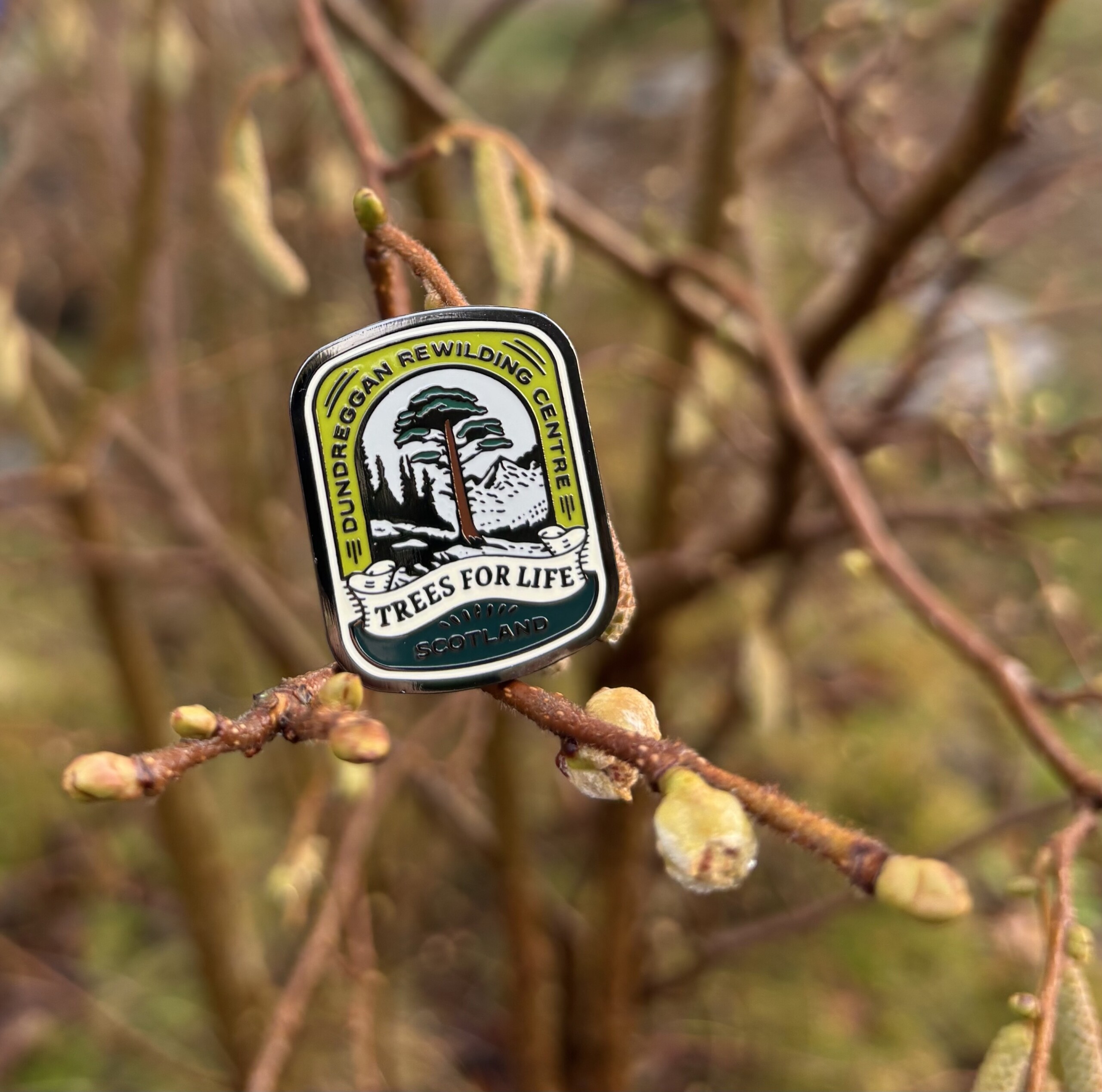 Trees for Life Pin Badge - Trees for Life